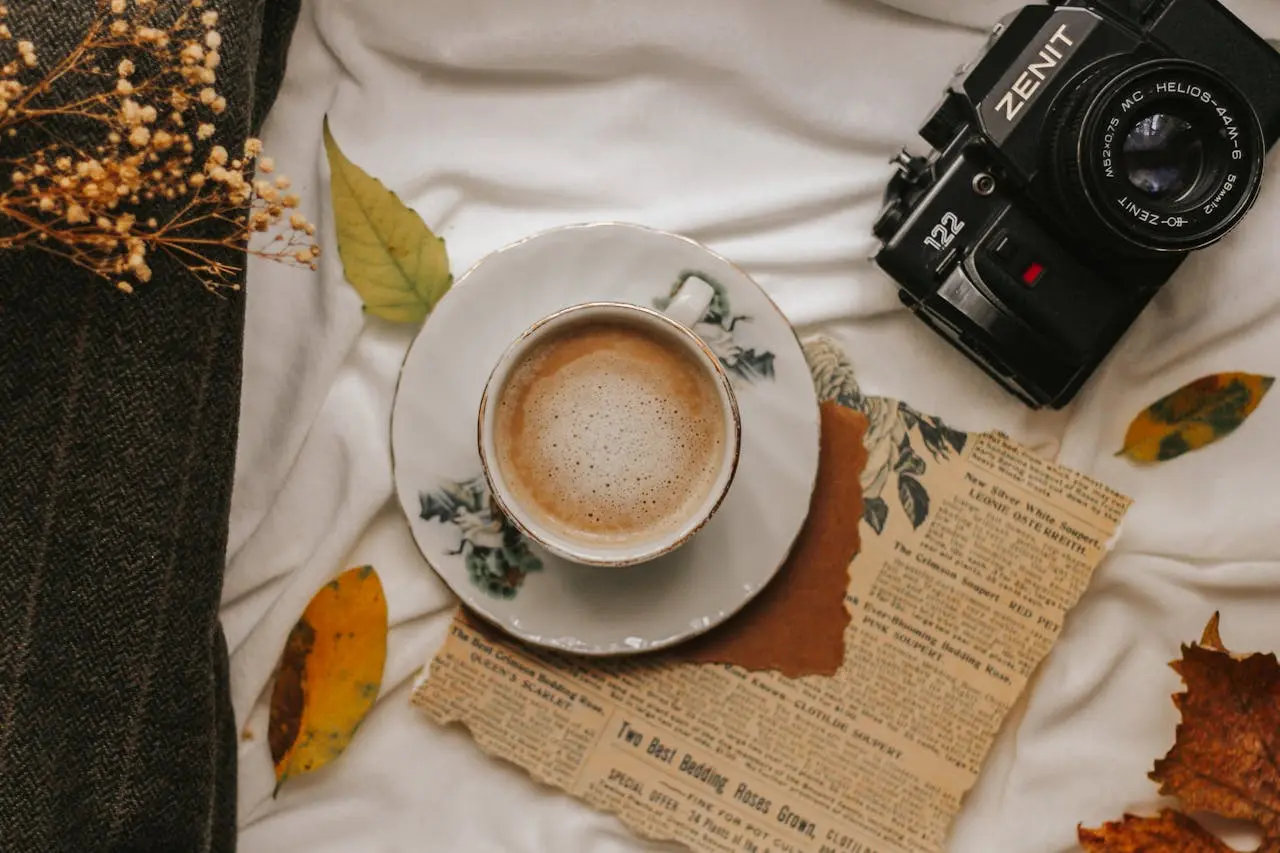Unique Retro Canva Fonts For Vintage Style Designs » The Hustling Mum